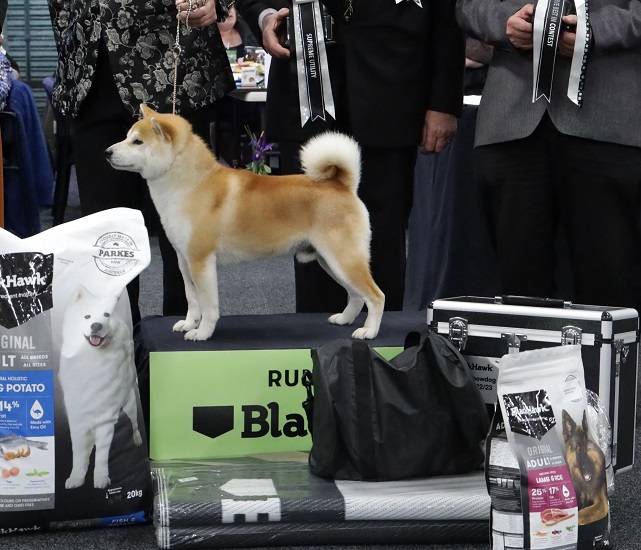 2021 Supreme Show Dog & Puppy Contests